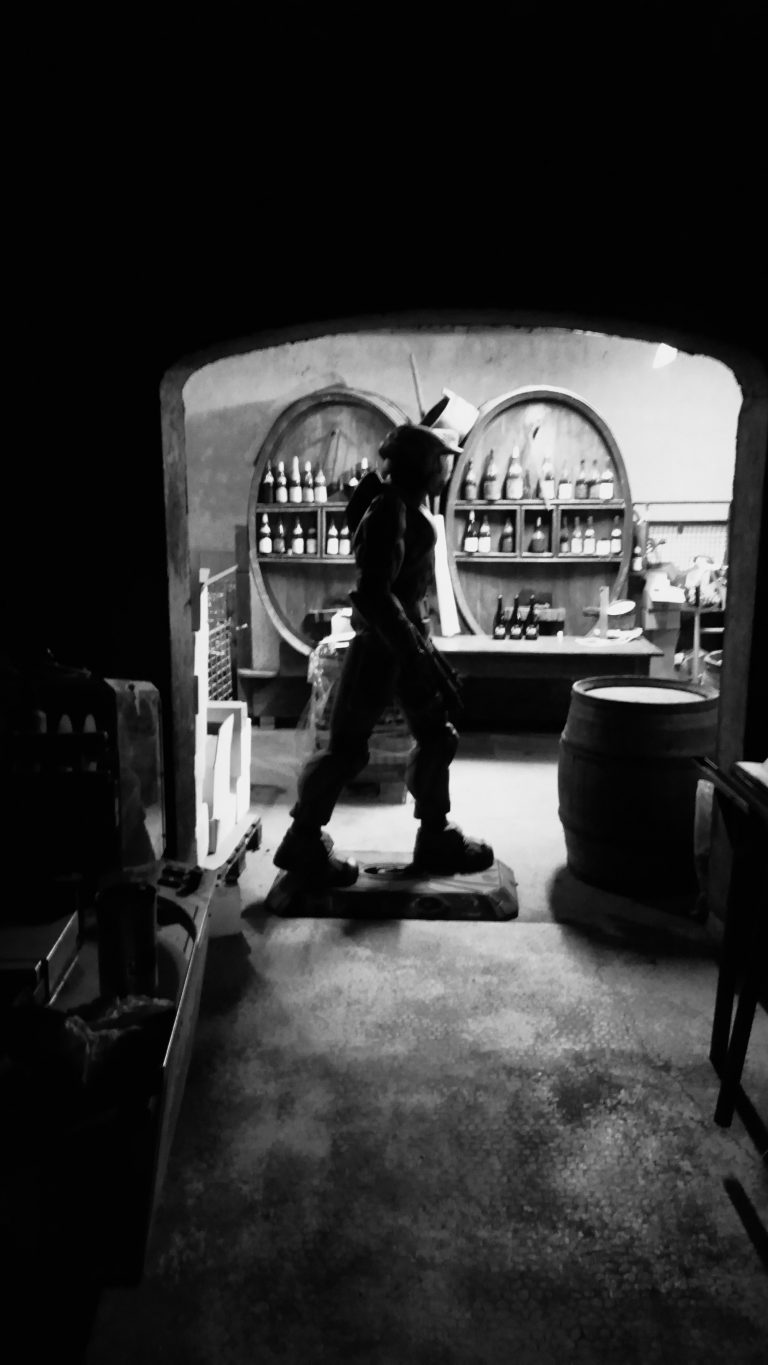 MES PHOTOS – David Large, Vigneron indépendant – Sommelier conseil
