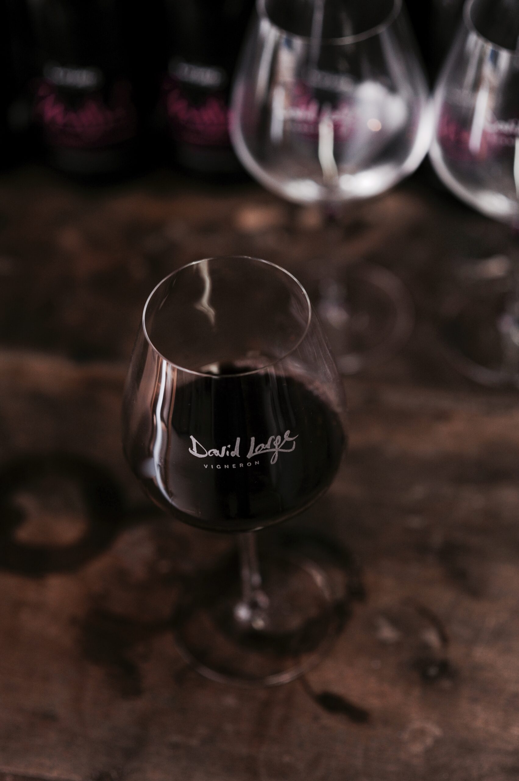 MES PHOTOS – Domaine Célia & David LARGE – BEAUJOLAIS