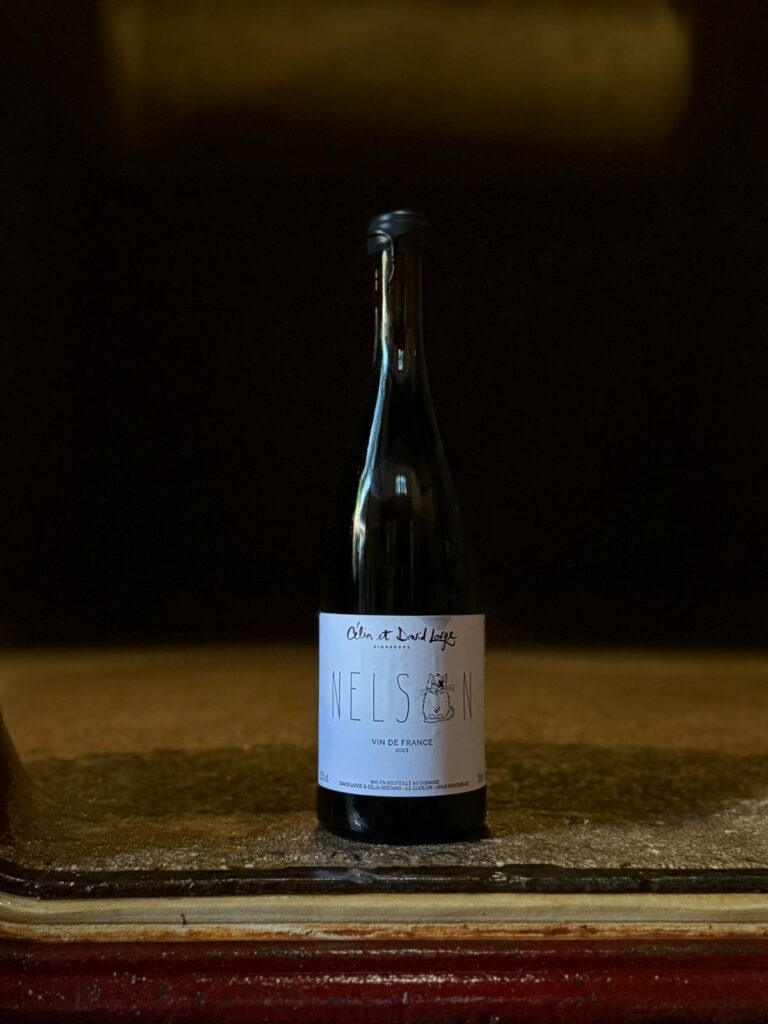 NELSON ROUGE – Domaine Célia & David LARGE – BEAUJOLAIS